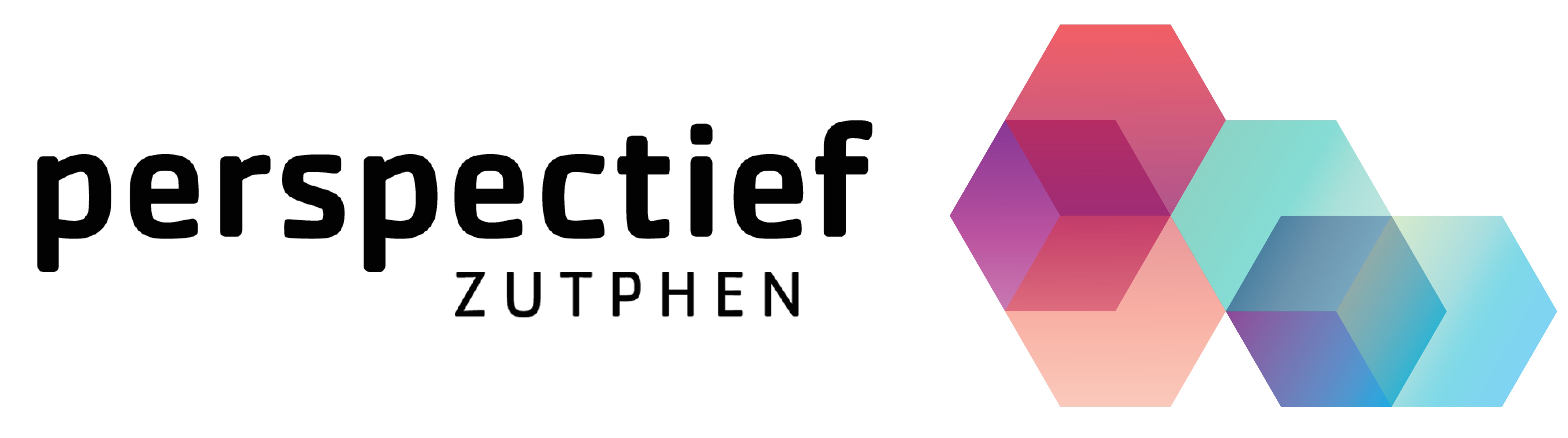 Innovatief lid Raad van Toezicht in Zutphen (Perspectief Zutphen ...